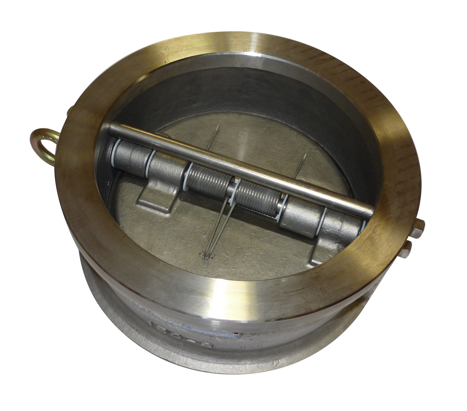 Check Valves | Asmuss